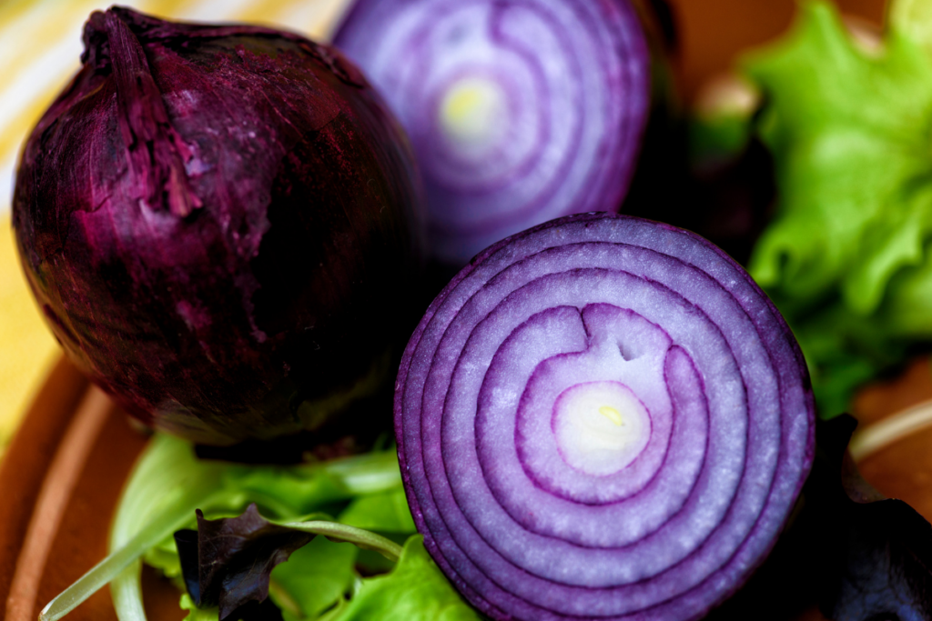 Como plantar cebola roxa no quintal de casa? Veja o passo a passo agora ...