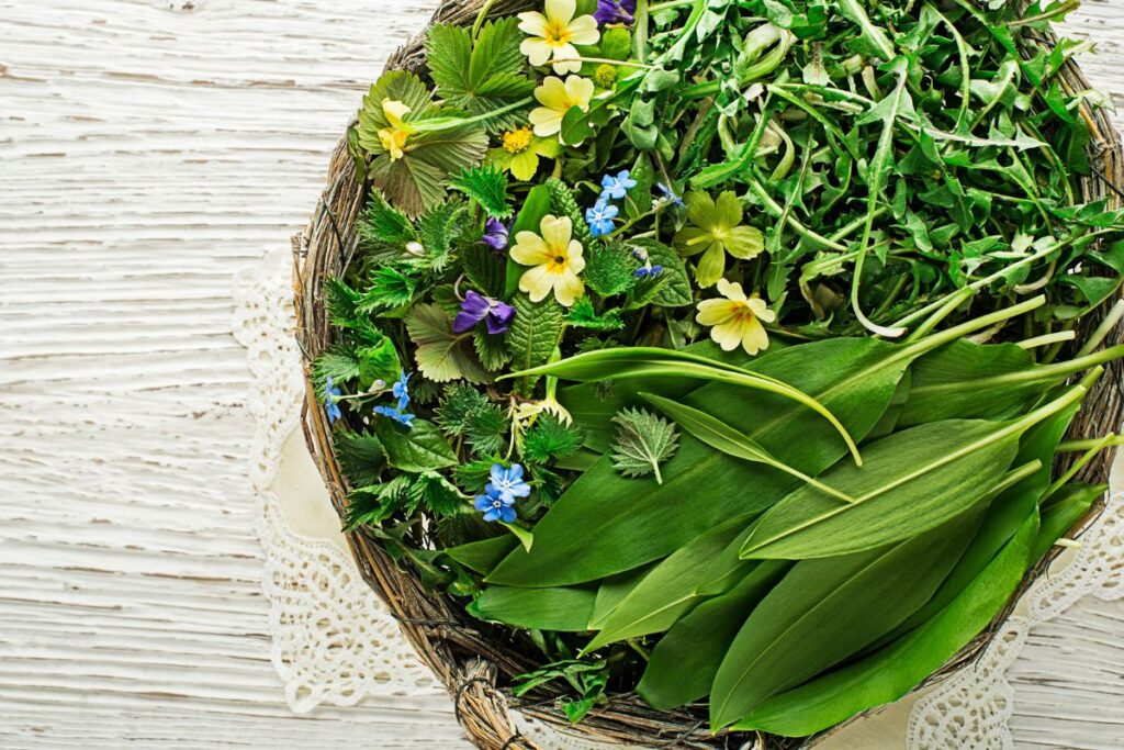Plantas comestíveis? Aprenda a fazer uma horta caseira de PANC's
